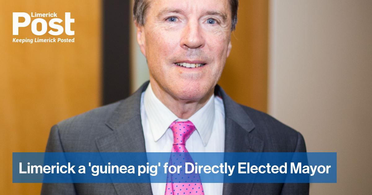 Limerick a 'guinea pig' for Directly Elected Mayor
