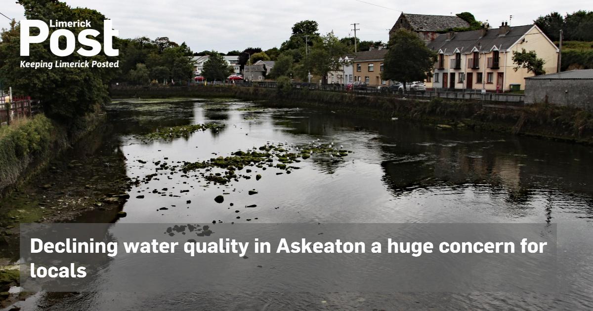 Declining water quality in Askeaton a huge concern for locals
