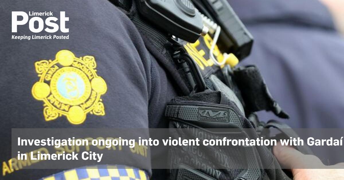 Investigation ongoing into violent confrontation with Gardaí in ...