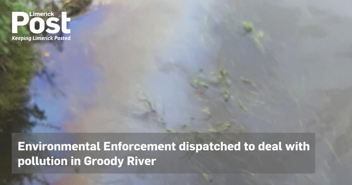 Environmental Enforcement dispatched to deal with pollution in Groody River
