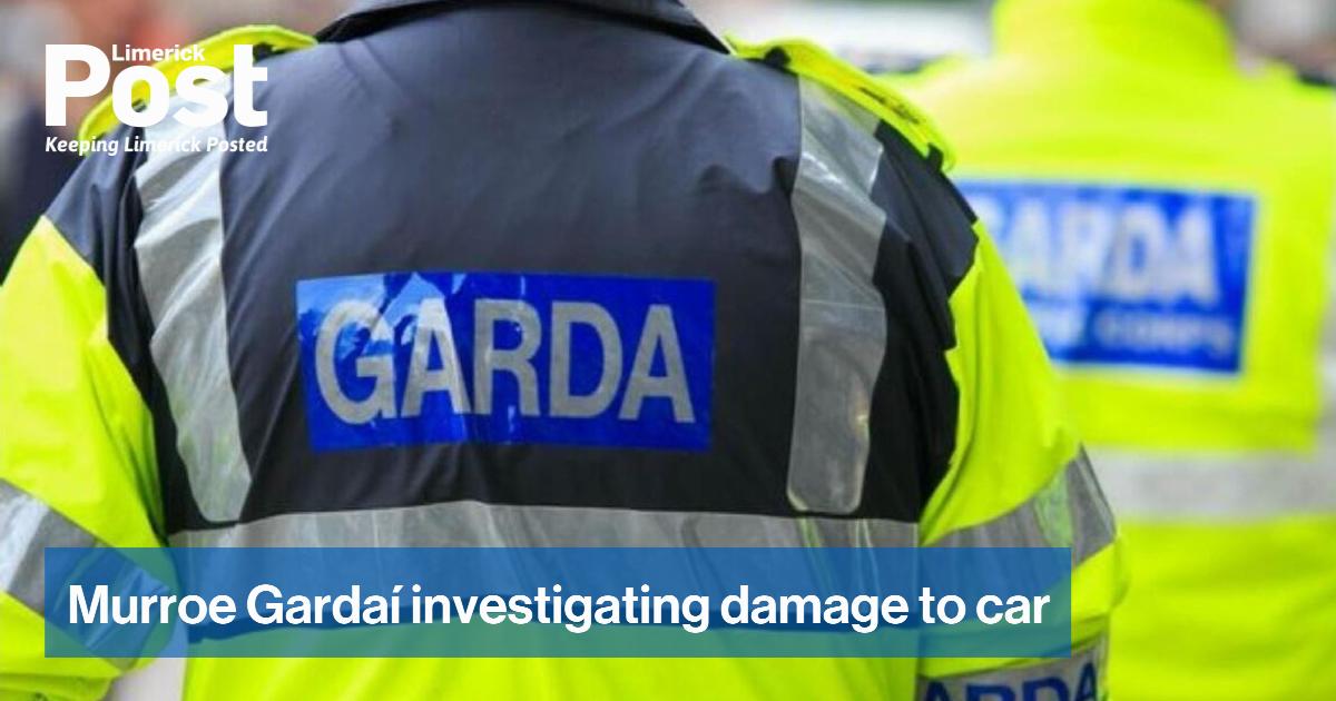 Murroe Gardaí investigating damage to car