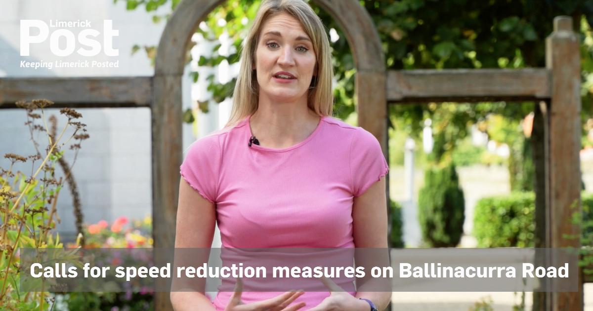 Calls for speed reduction measures on Ballinacurra Road
