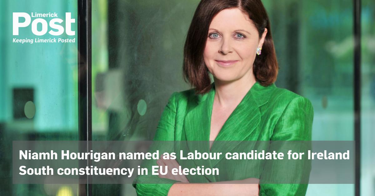 Niamh Hourigan named as Labour candidate for Ireland South constituency ...