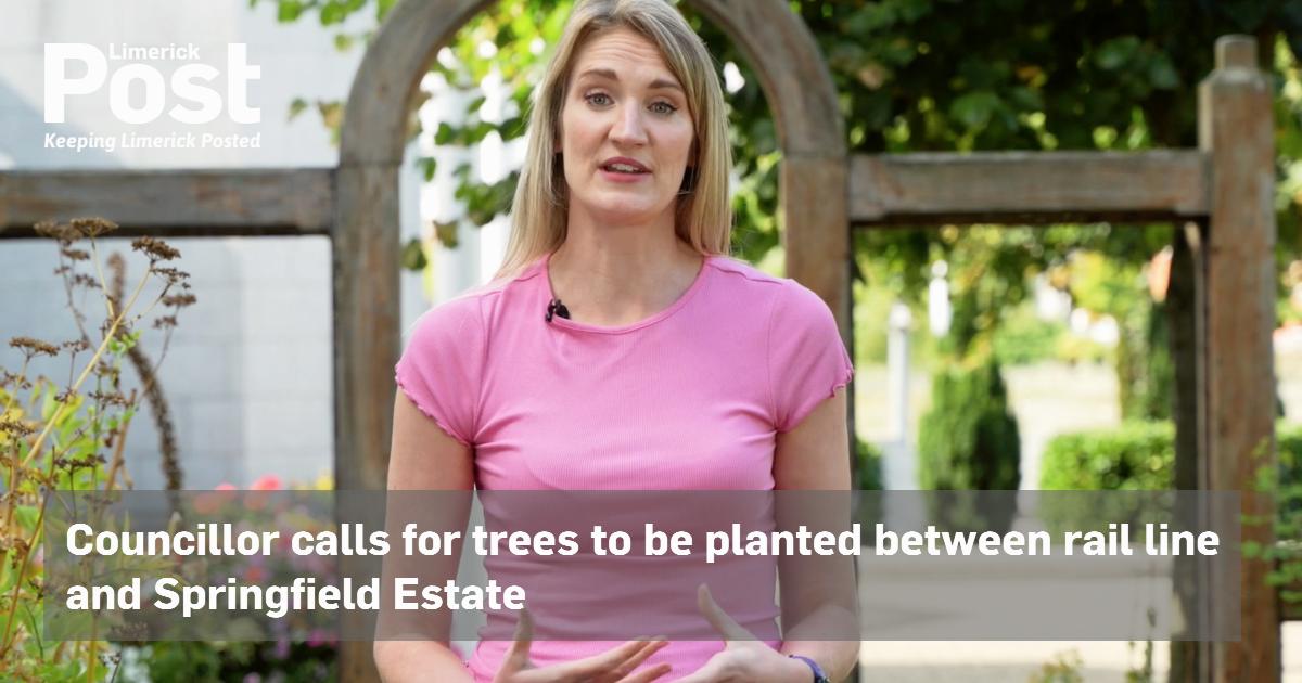Councillor calls for trees to be planted between rail line and ...