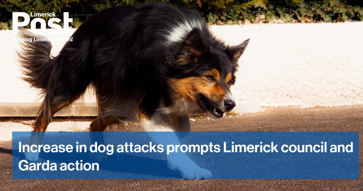 Increase in dog attacks prompts Limerick council and Garda action