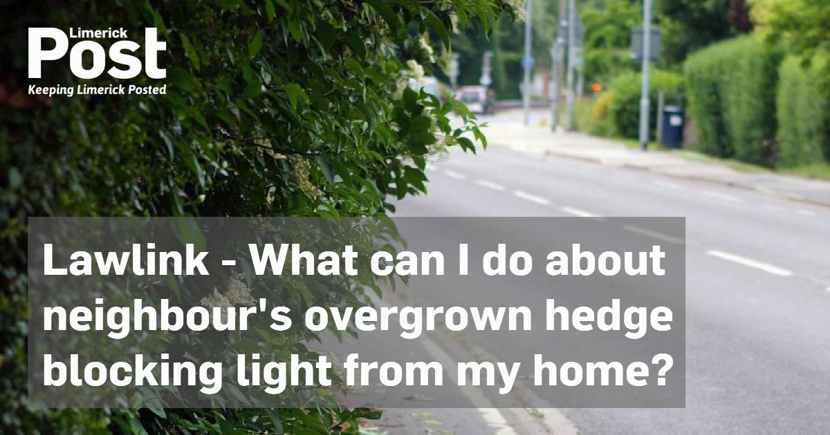 Lawlink - What can I do about neighbour's overgrown hedge blocking ...