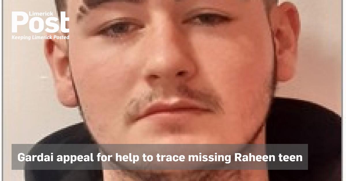 Gardai appeal for help to trace missing Raheen teen