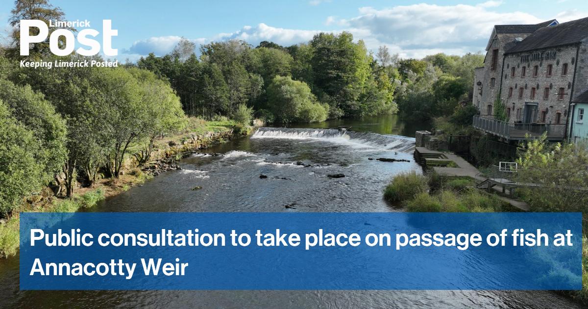 Public consultation to take place on passage of fish at Annacotty Weir