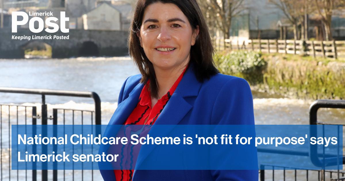 National Childcare Scheme is 'not fit for purpose' says Limerick senator