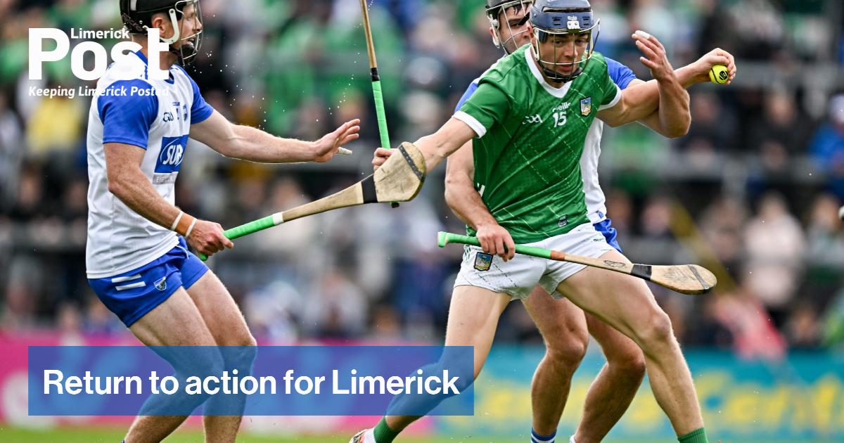 Return to action for Limerick