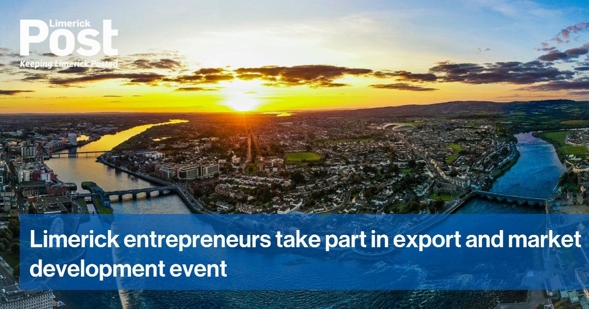 Limerick entrepreneurs take part in export and market development event
