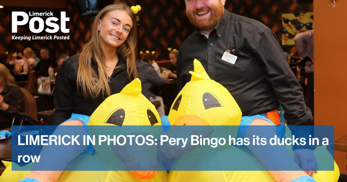 LIMERICK IN PHOTOS: Pery Bingo has its ducks in a row