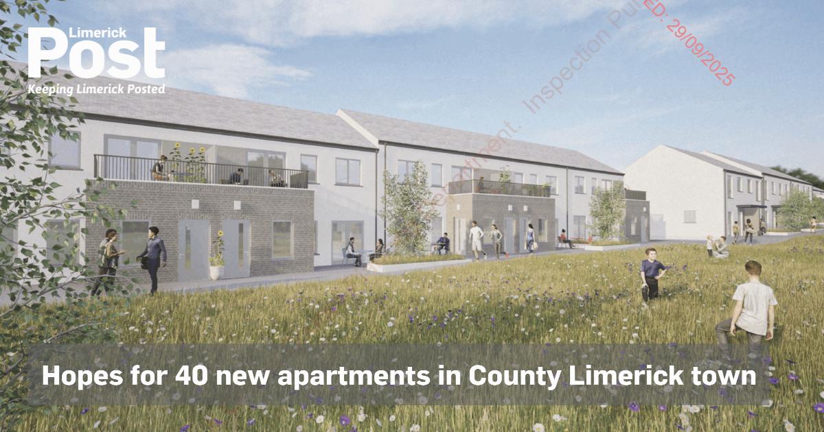 Hopes for 40 new apartments in County Limerick town
