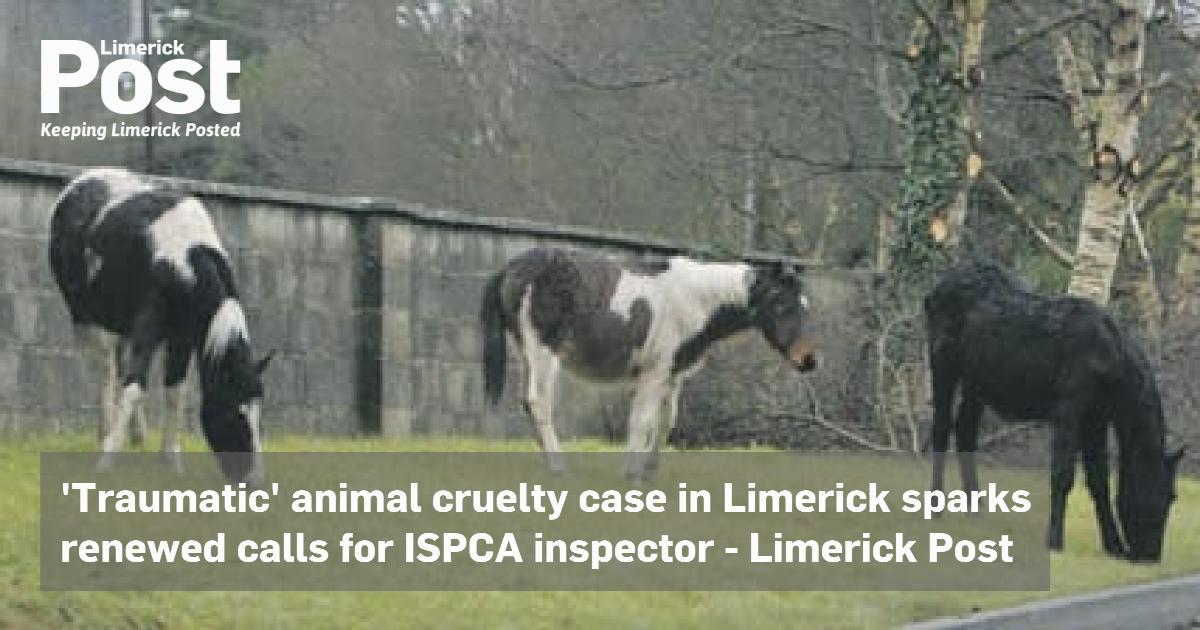 'Traumatic' animal cruelty case in Limerick sparks renewed calls for ...