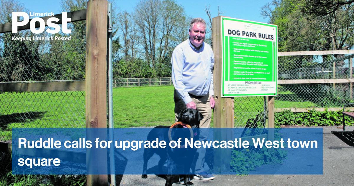 Ruddle calls for upgrade of Newcastle West town square