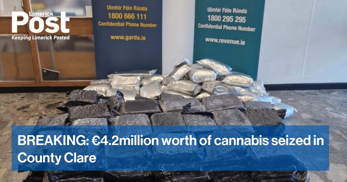 BREAKING: €4.2million worth of cannabis seized in County Clare
