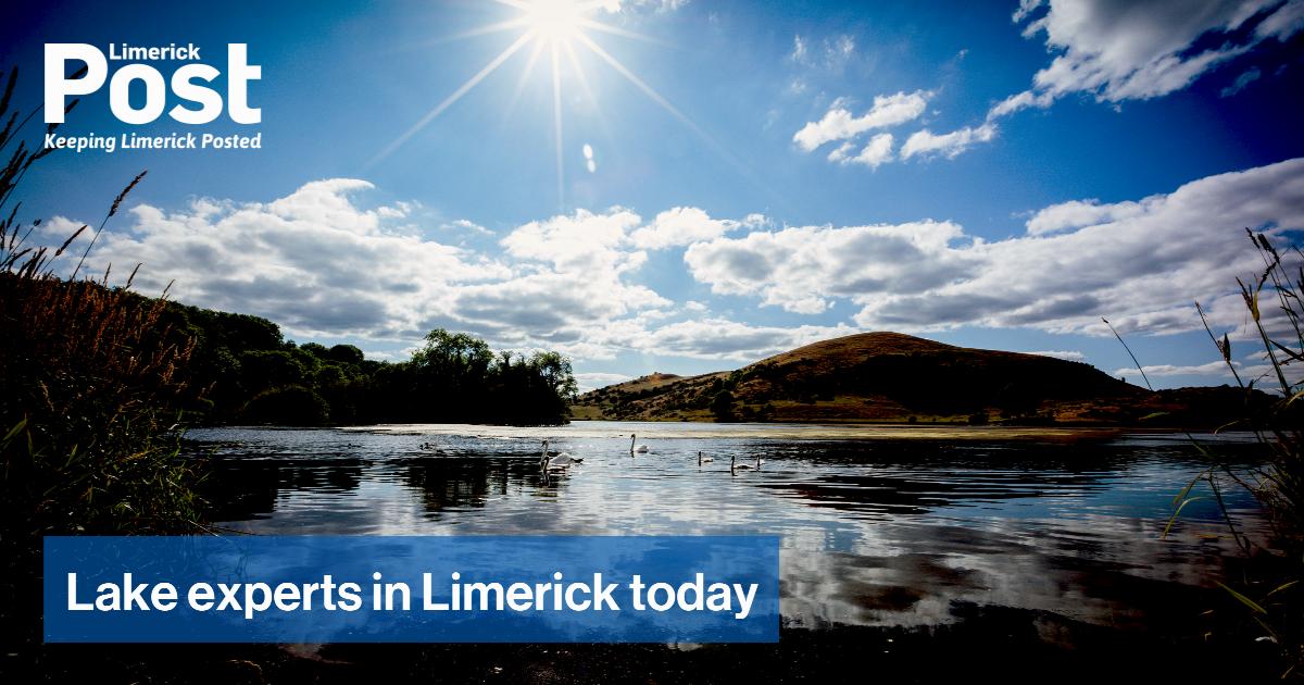 Lake experts in Limerick today