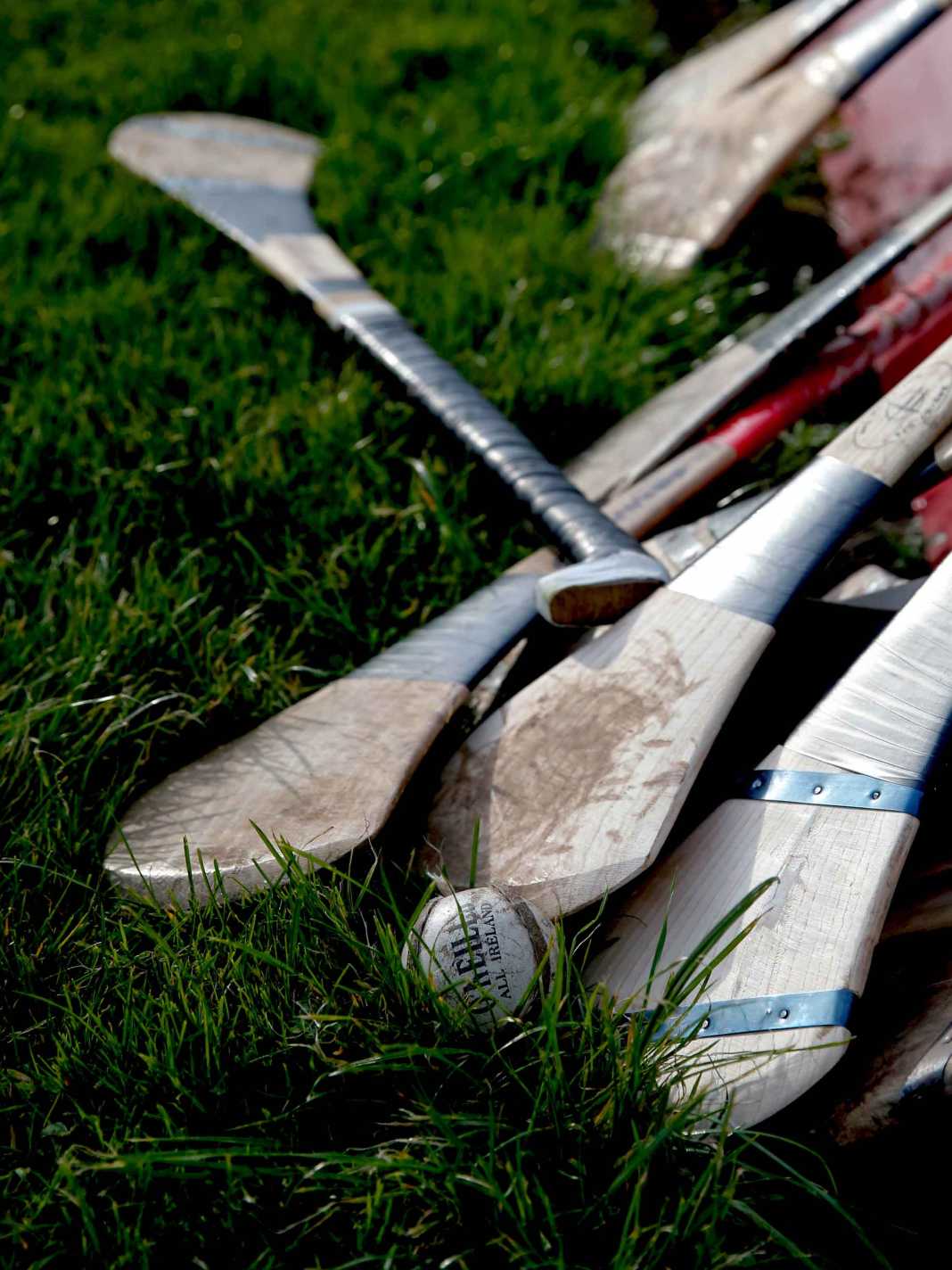 Public called to have their say on new Patrickswell Community and ...