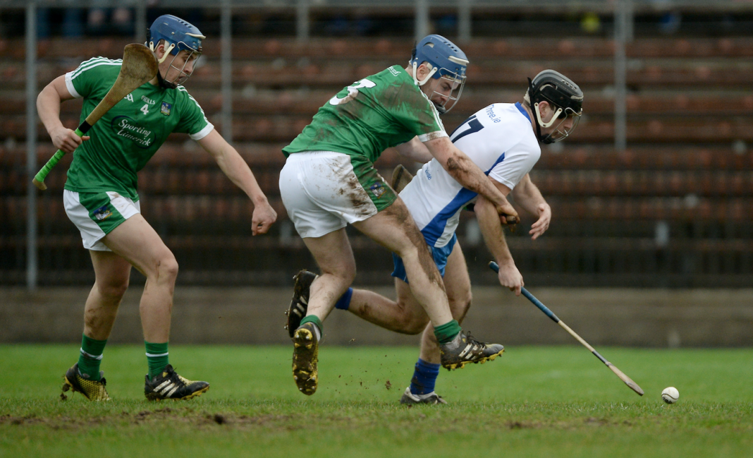 Limerick hurlers start 2017 with a win (Pics)