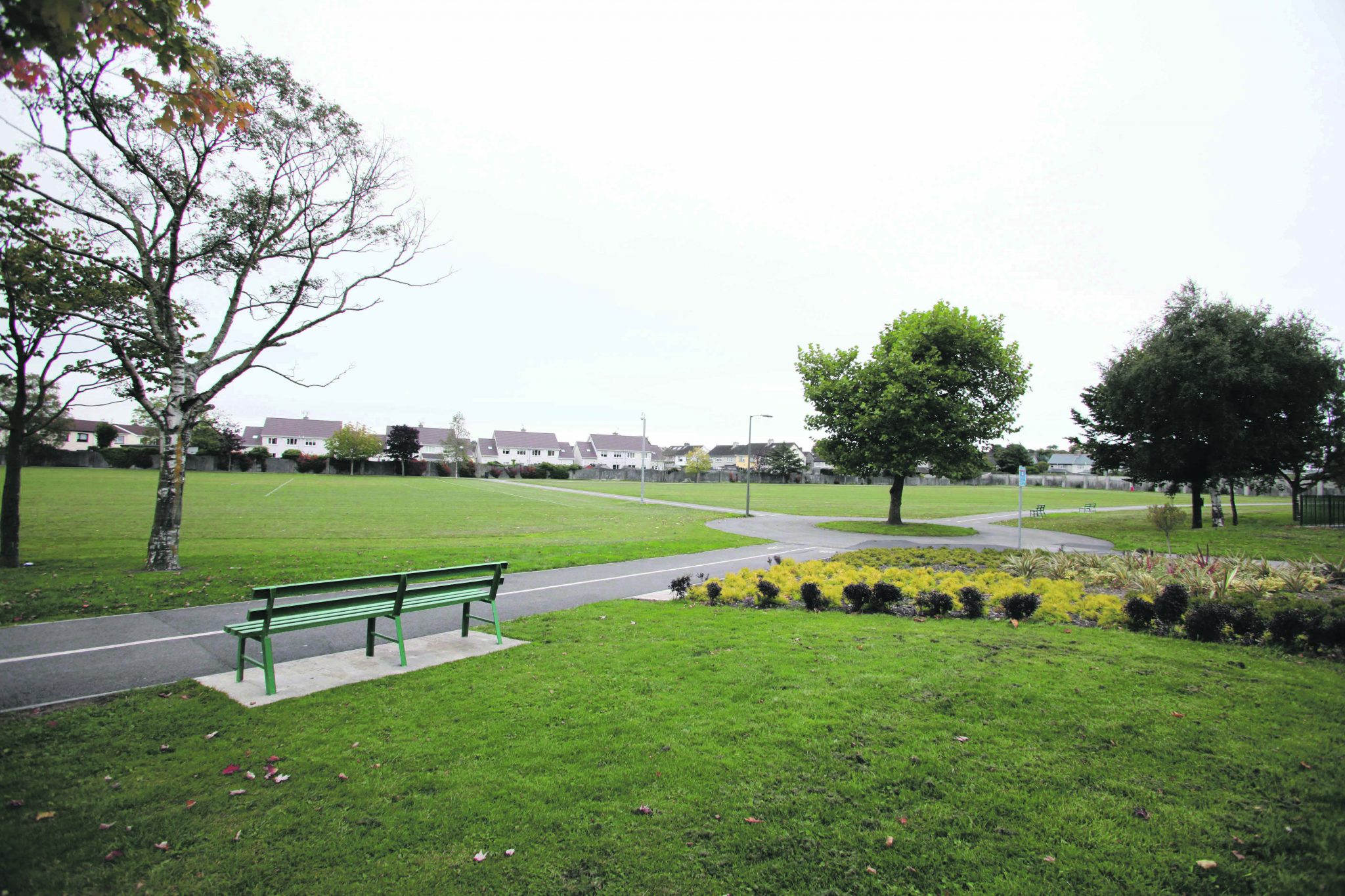 Pedestrian crossing sought for Shelbourne Park