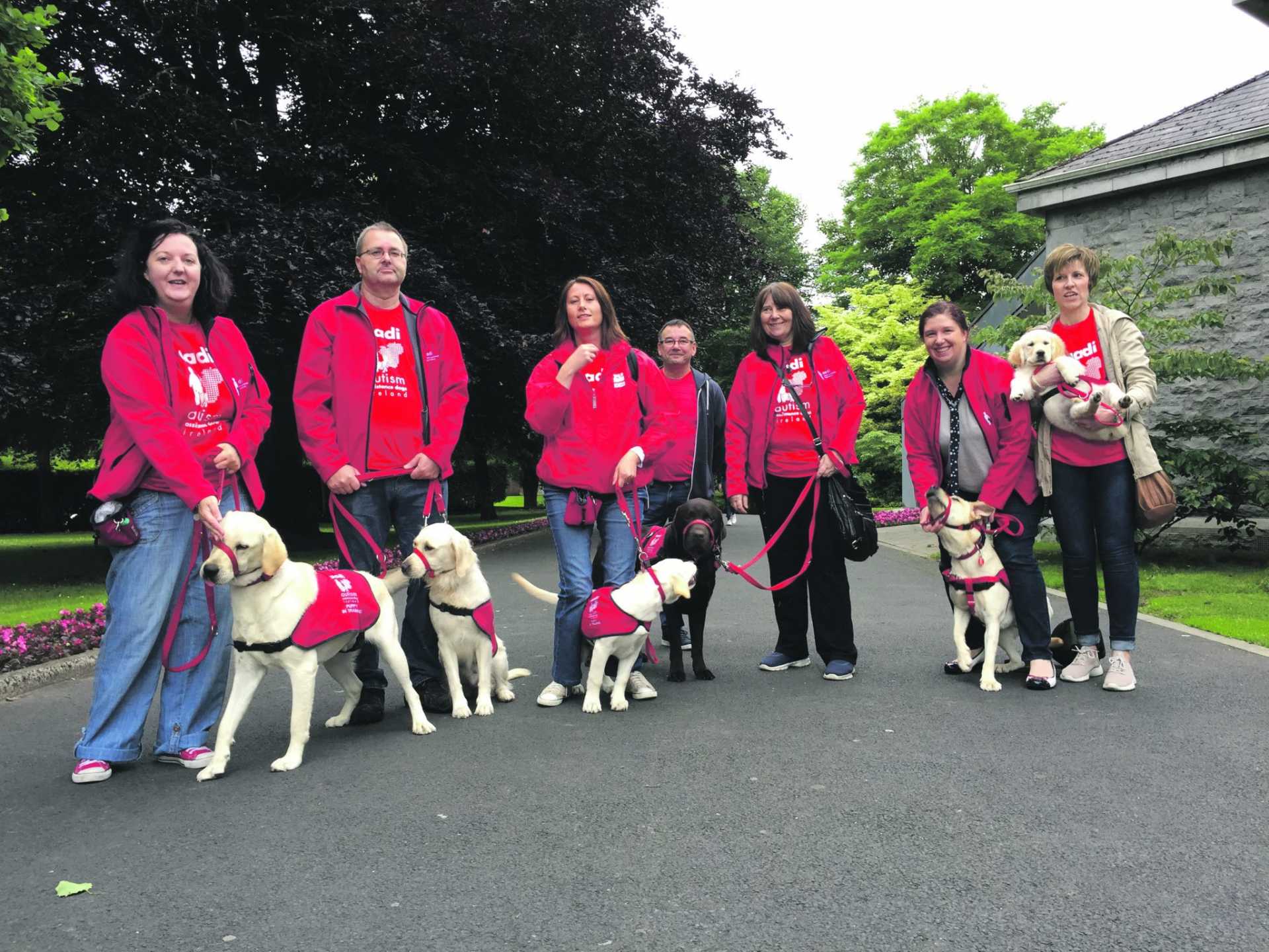 Autism assistance dogs open up a world of possibilities