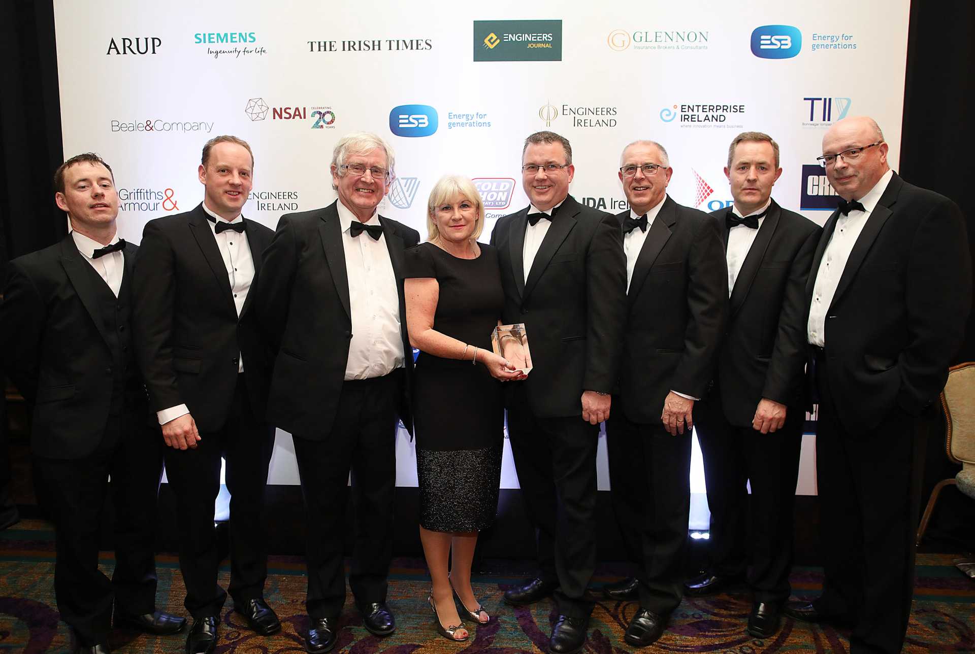 Limerick city and county council wins engineering initiative award