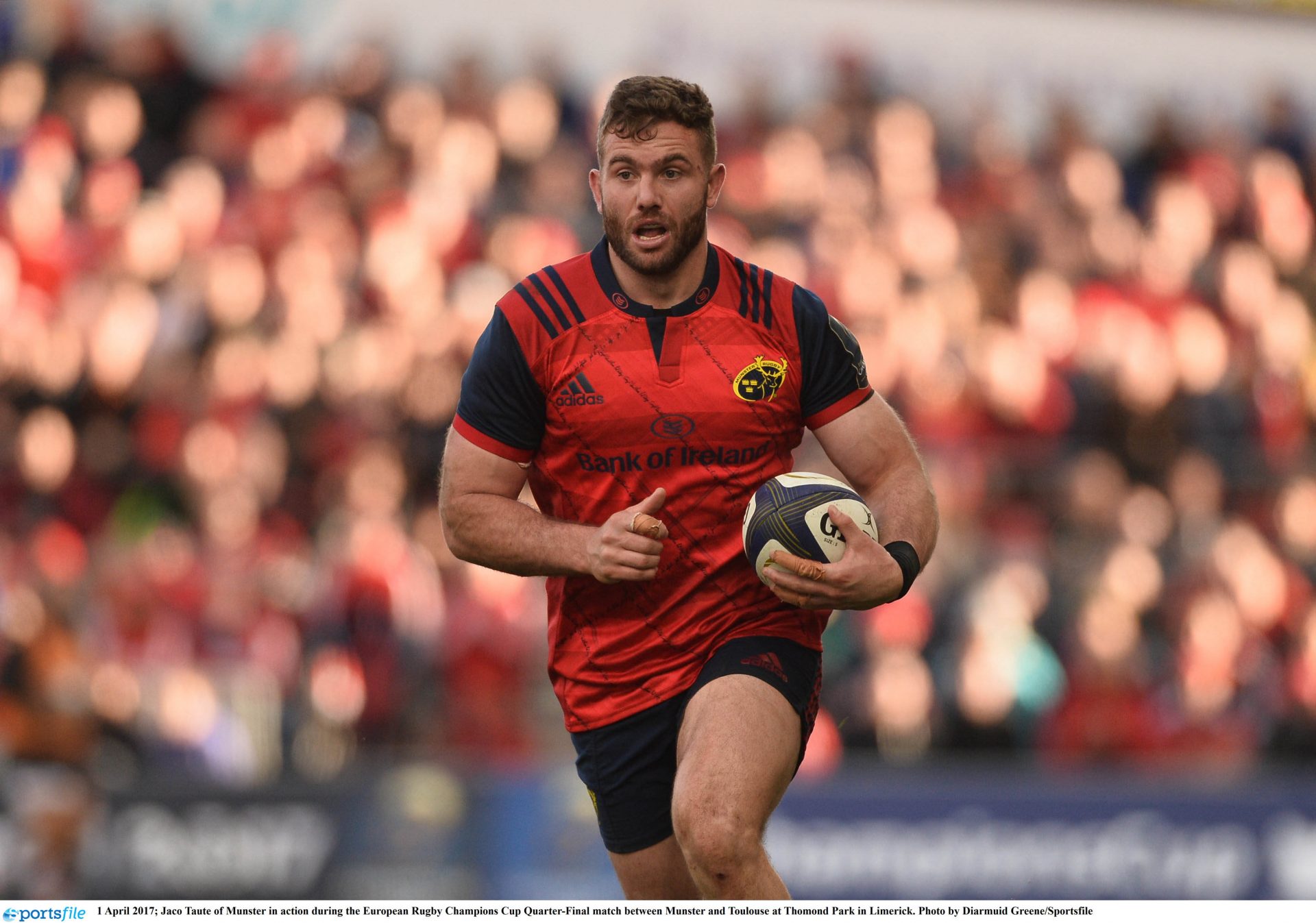 Taute says Stander and O'Mahony will stay with Munster