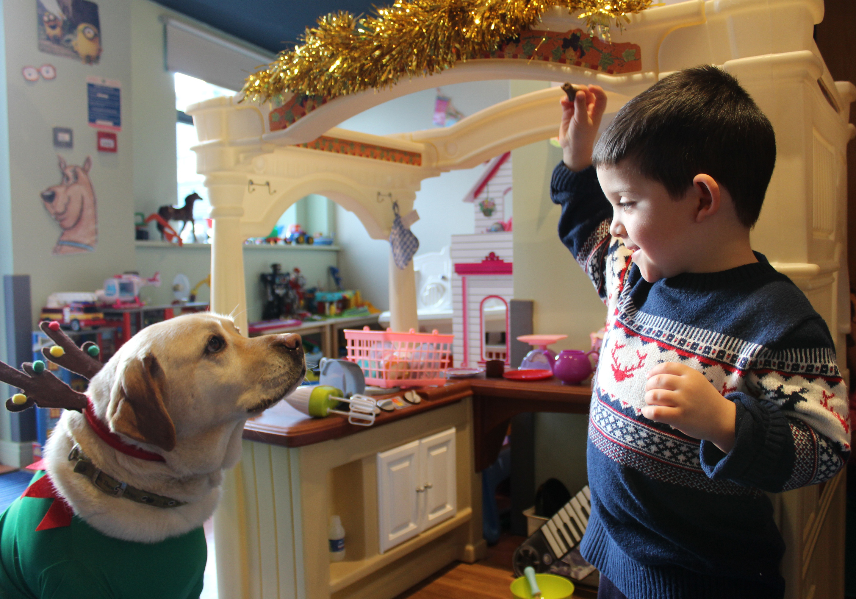 Bringing Christmas cheer to sick children in Limerick hospital