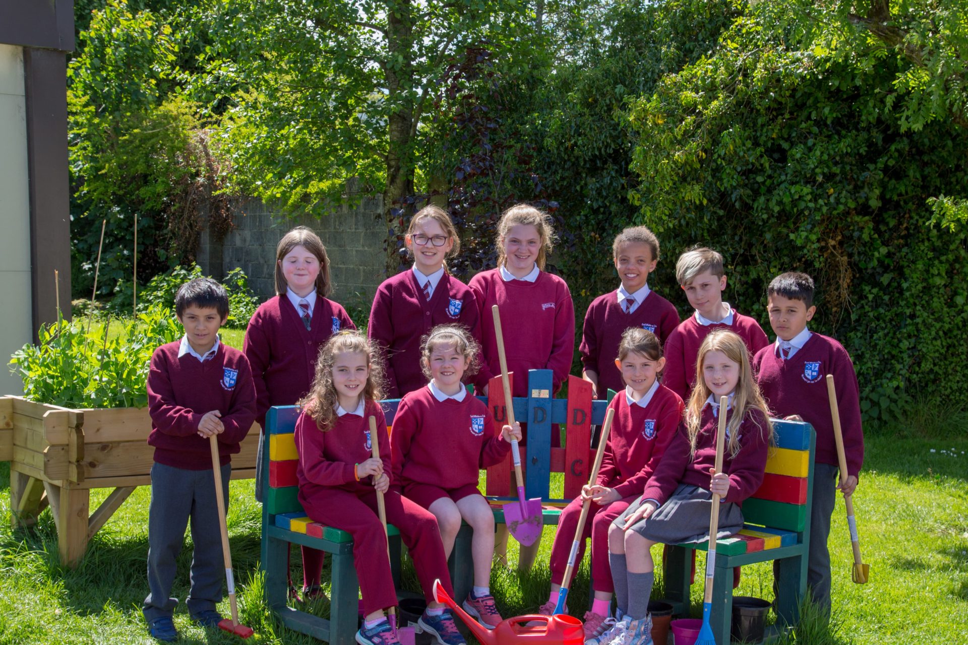 2 Limerick primary schools amongst finalists for Eco Ranger awards
