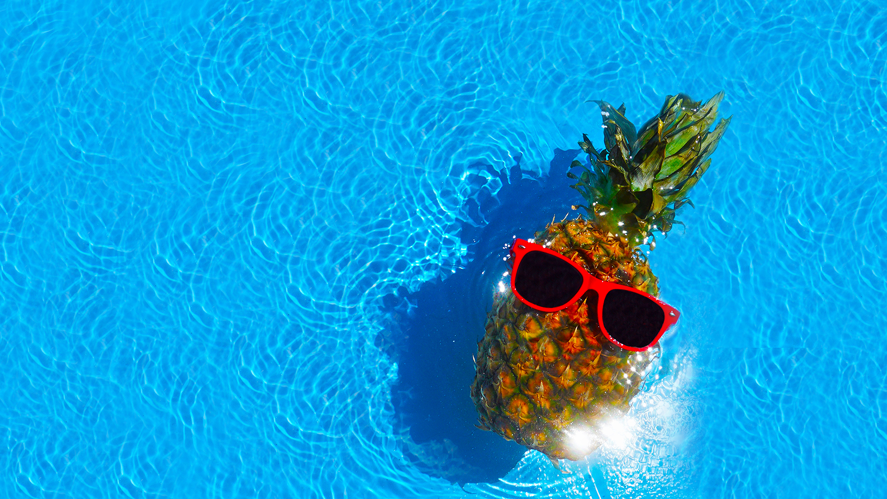 Grand Prix director Max Blustin for Tres Court Film Festival