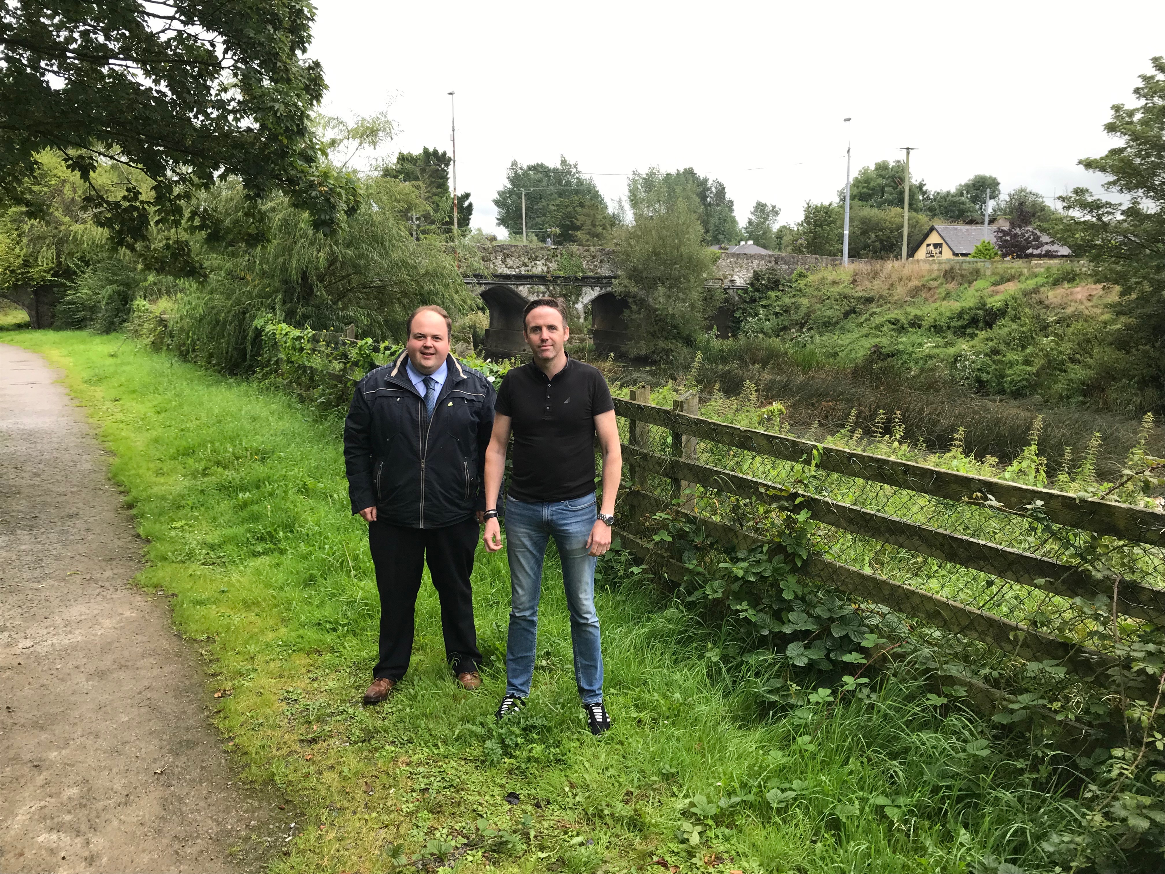 Calls to clean the River Deel in Rathkeale
