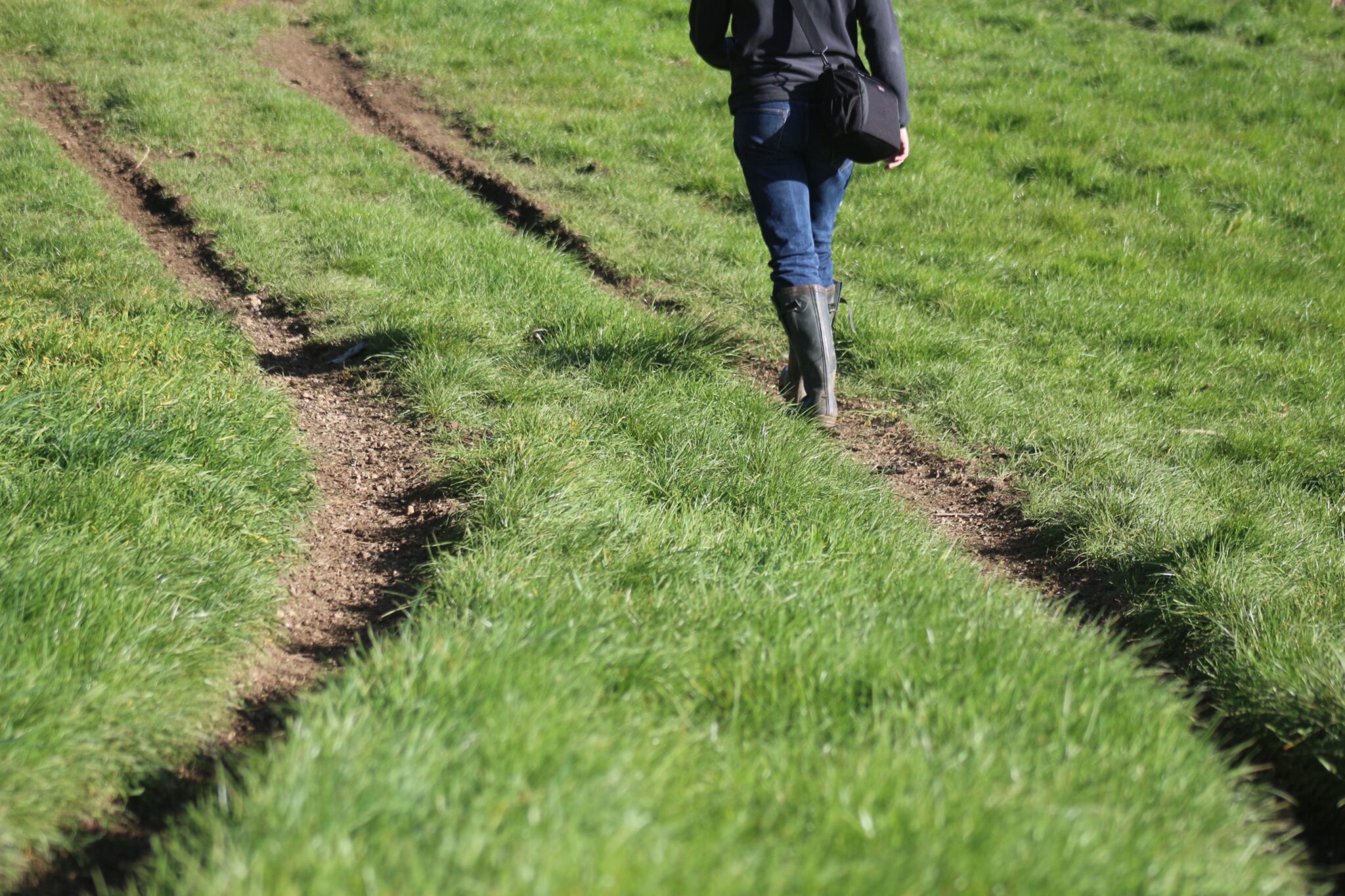 Limerick council put spotlight on hidden gem walks and trails