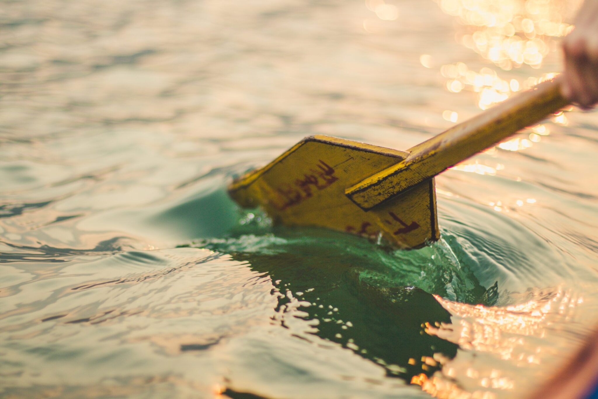 Shannon Rowing Club oarsman takes home three gold medals from World ...