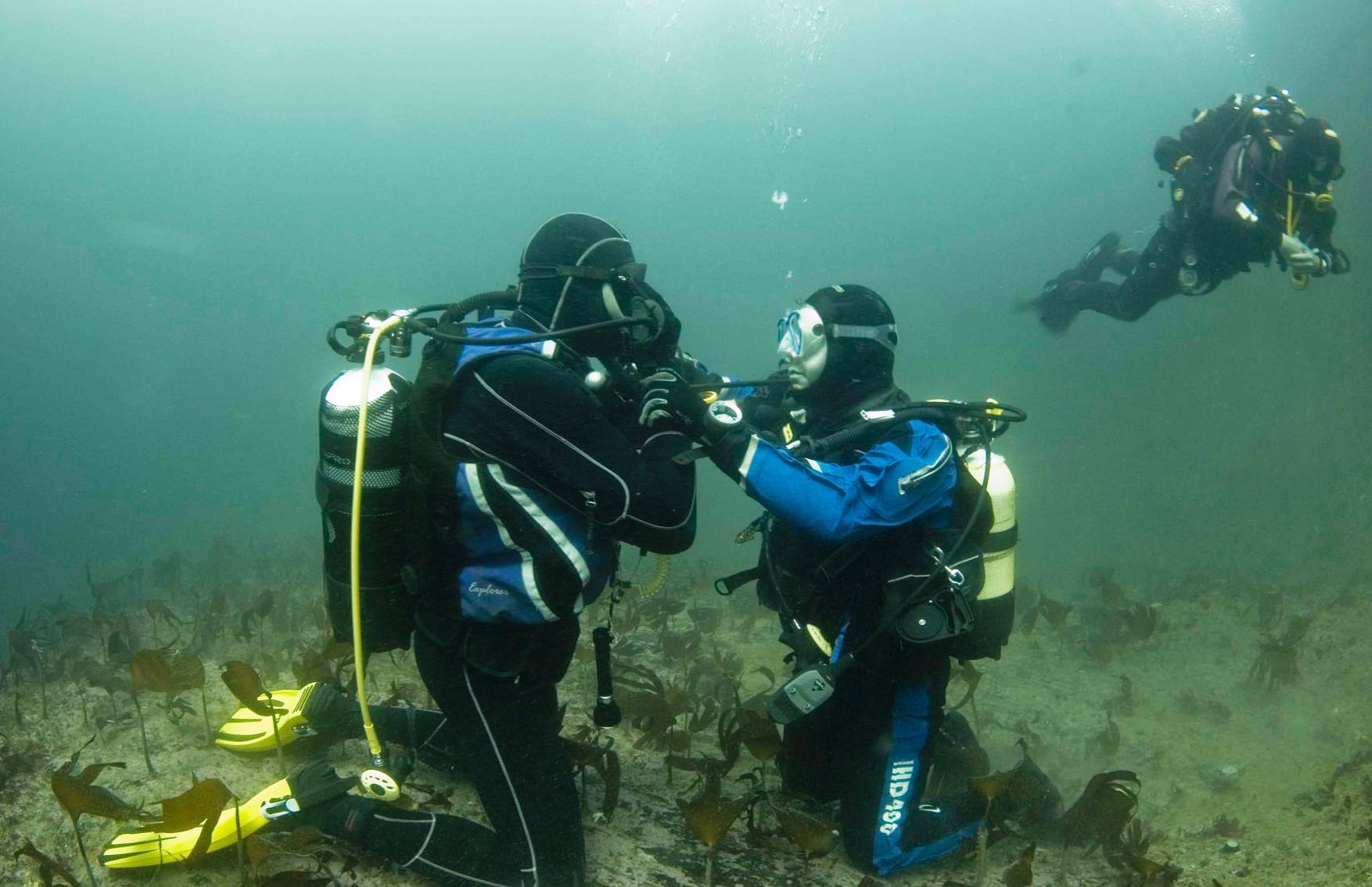Atlantic Dive club's invitation to take the plunge