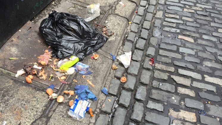 Strong showing for Limerick in IBAL litter survey