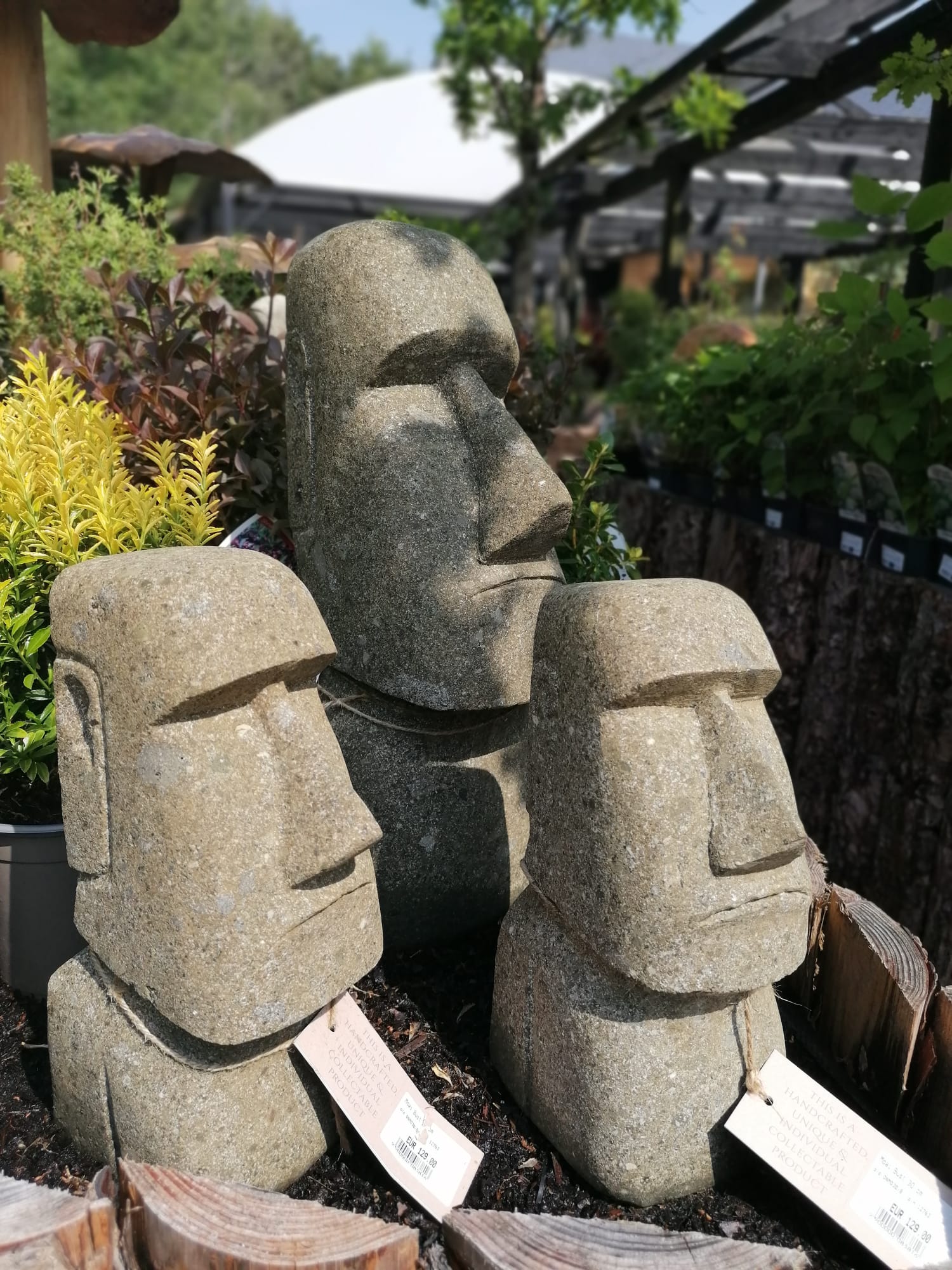 Clarenbridge Garden Centre Presents: Summer Solstice Event - Up to 60% ...