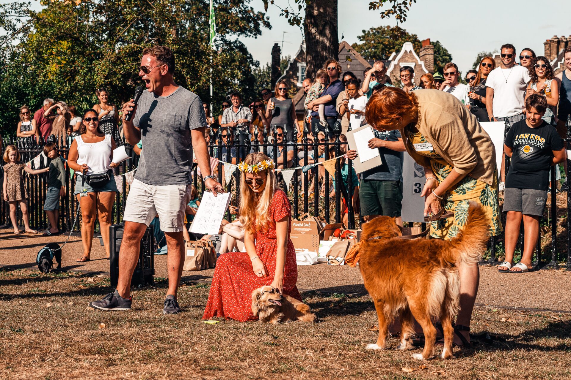 Prestigious Limerick dog show sees over 1,000 entrants this year