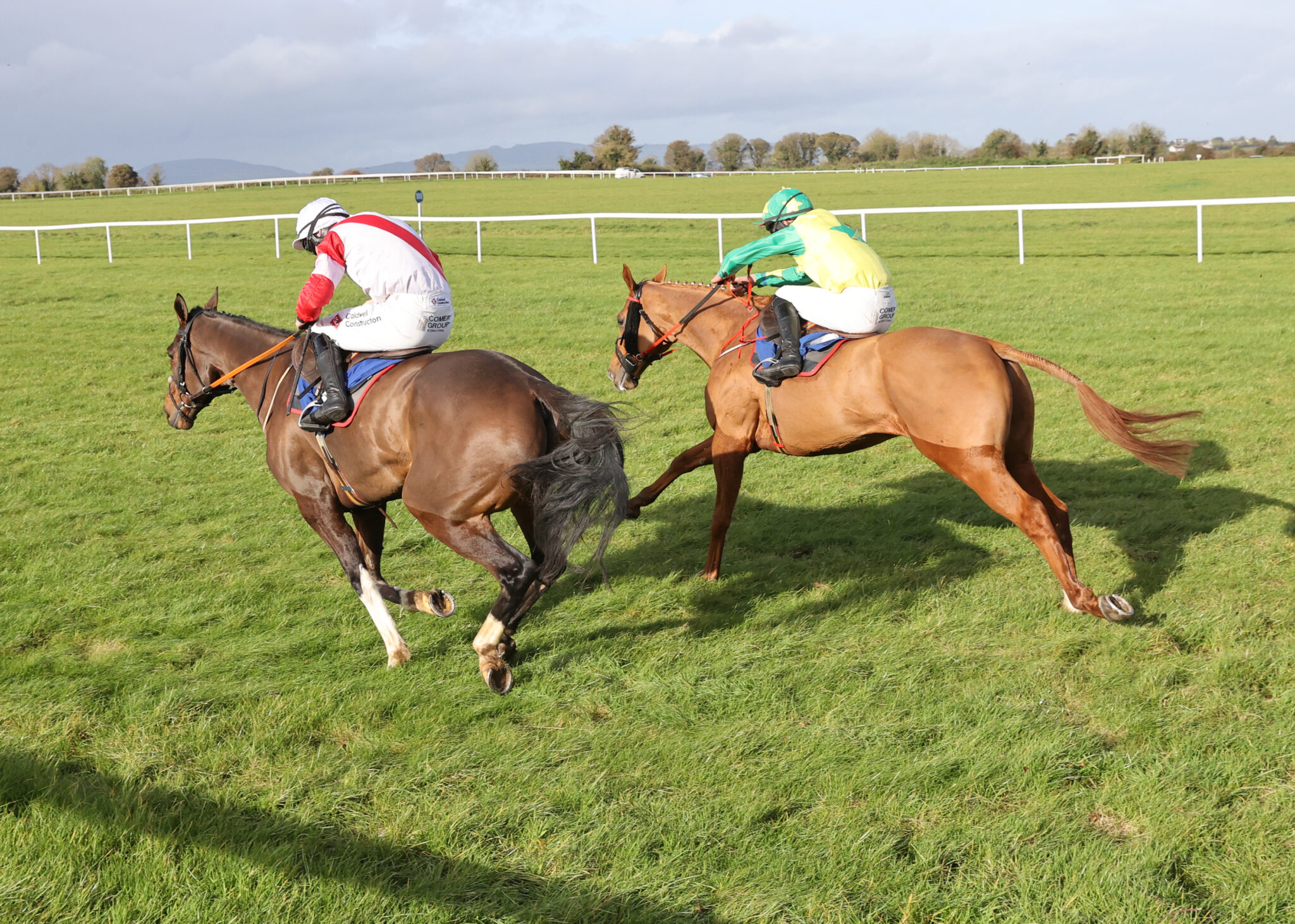 Athea-trained Name Me Famous wins at Thurles