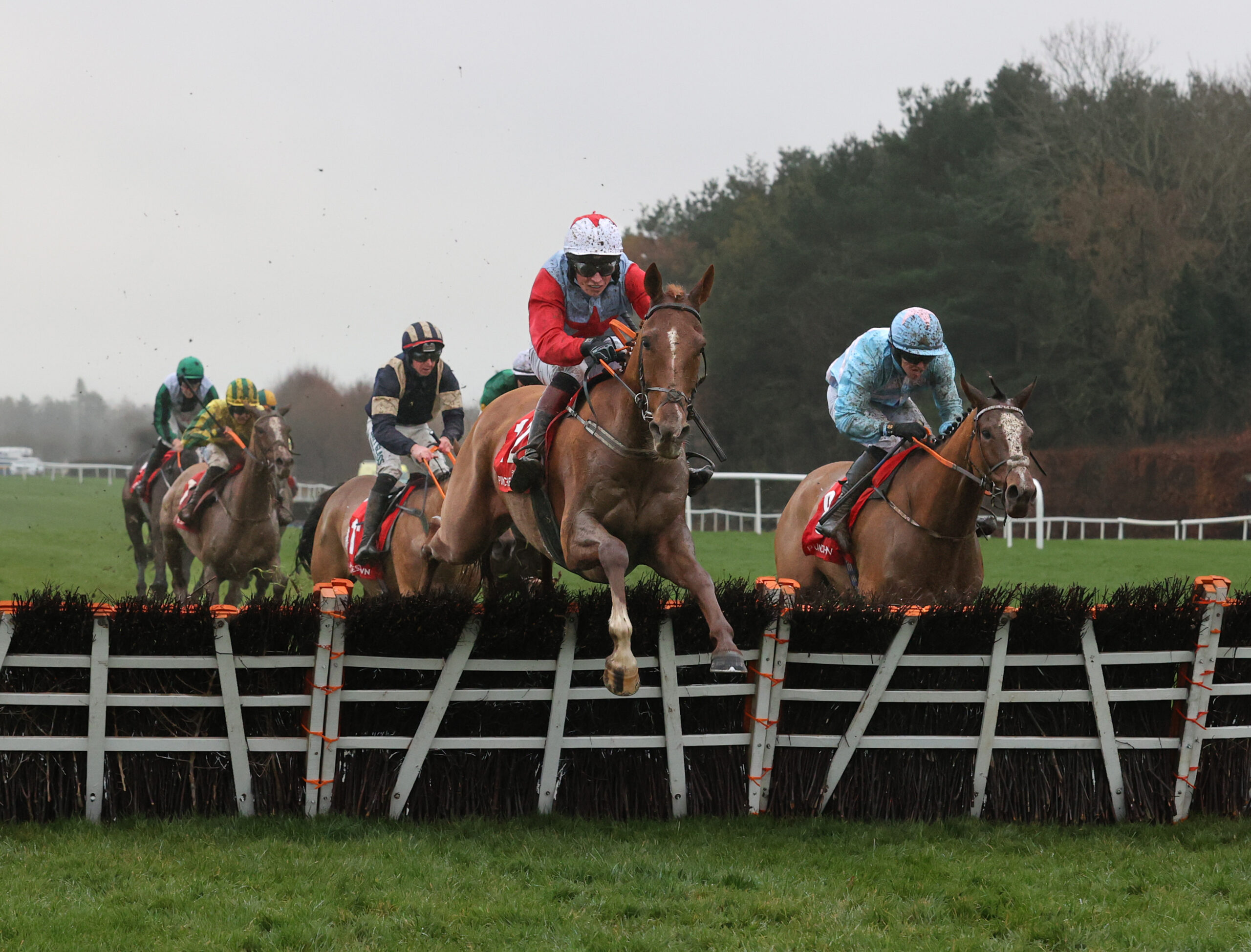 Bolger on the mark at Punchestown