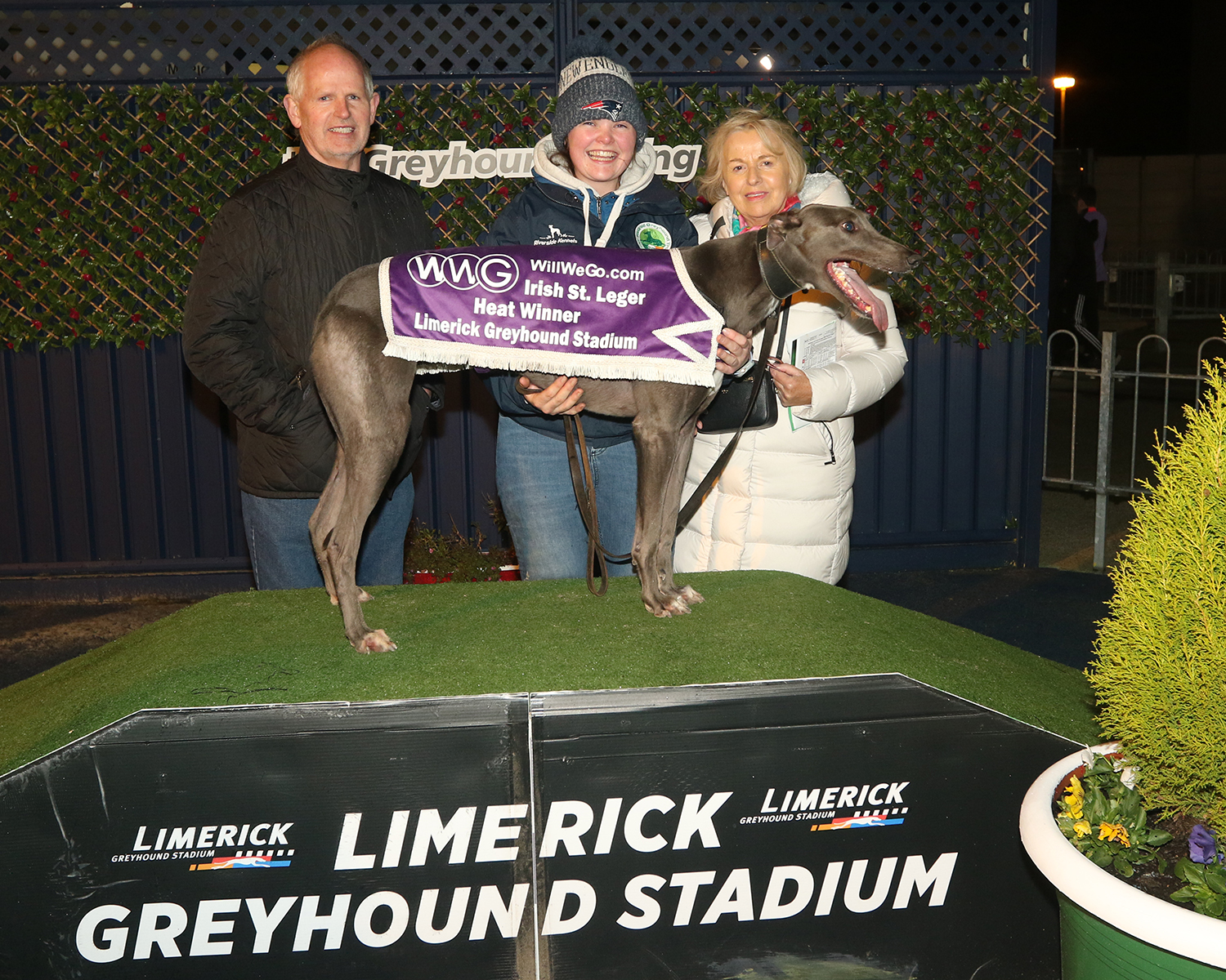 Semi-final time in Greyhound Classic at Limerick