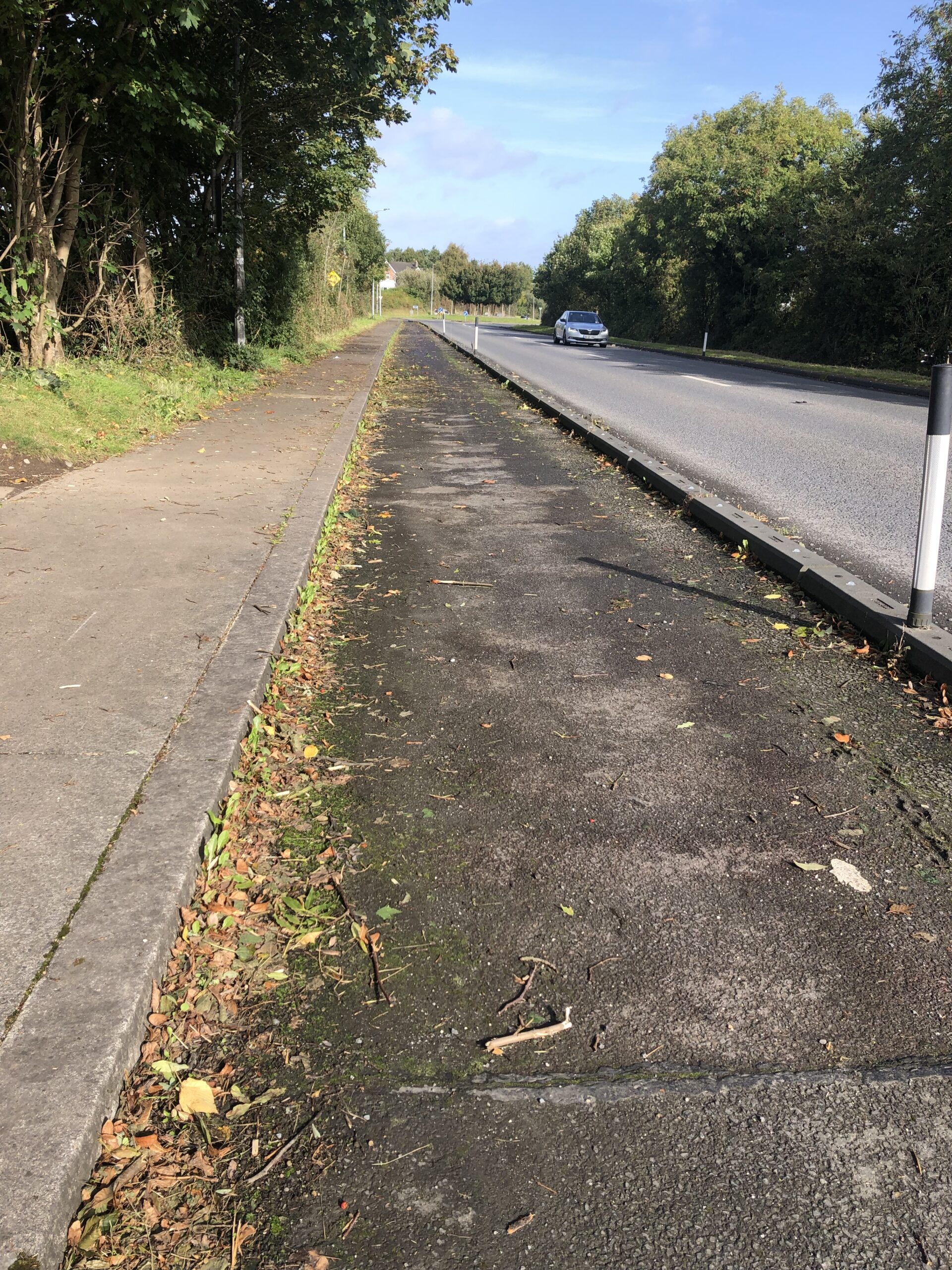 Dirty bike lanes in Limerick are a vicious cycle