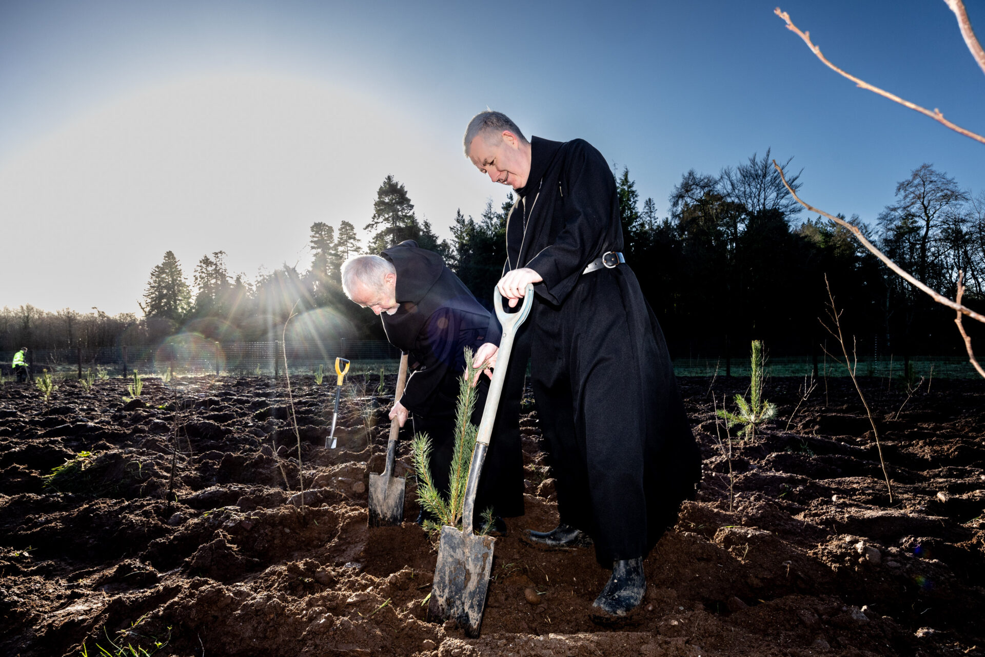 Glenstal monks answer environmental call planting new mini forest