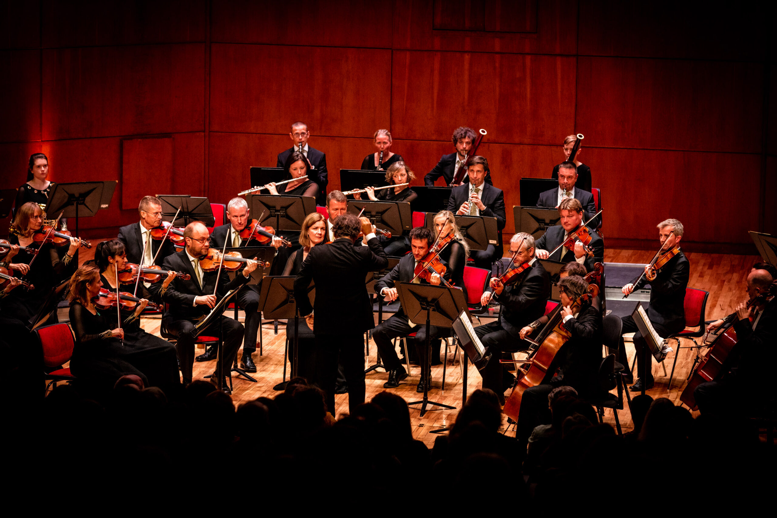 A voyage of rich imagination from ICO