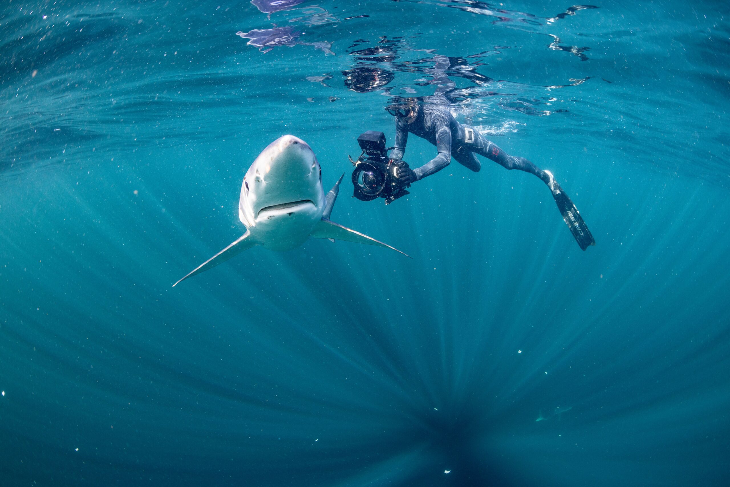 Award-winning underwater cameraman, Ken O’Sullivan goes Into The Deep