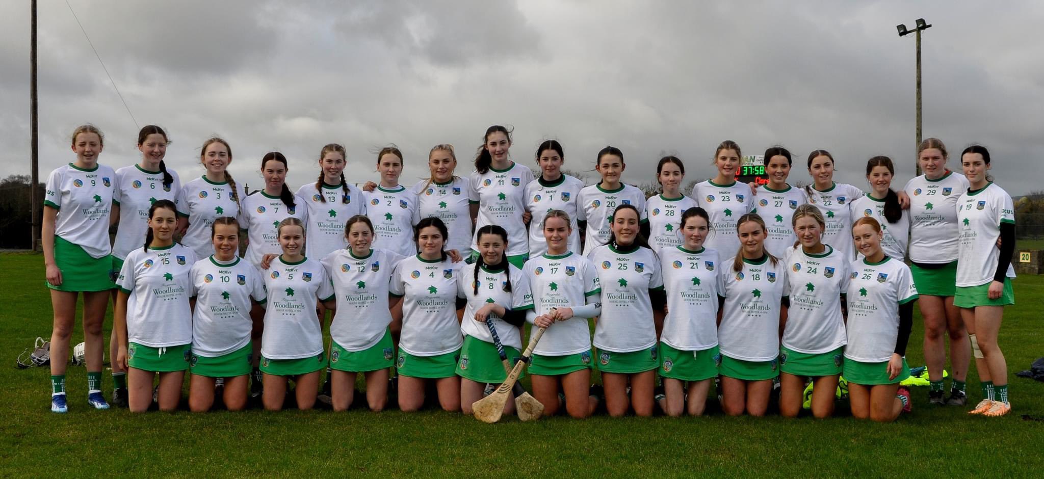 Good win for Limerick minor camogie