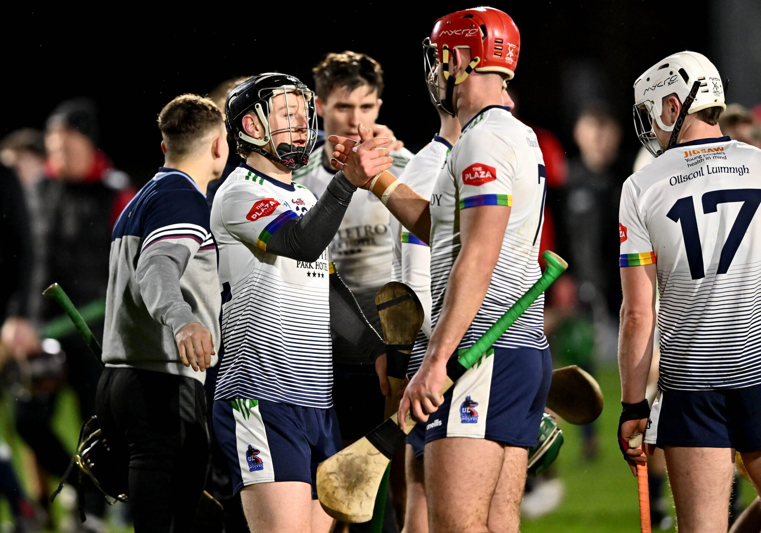 Semi-finalists confirmed in Fitzgibbon Cup