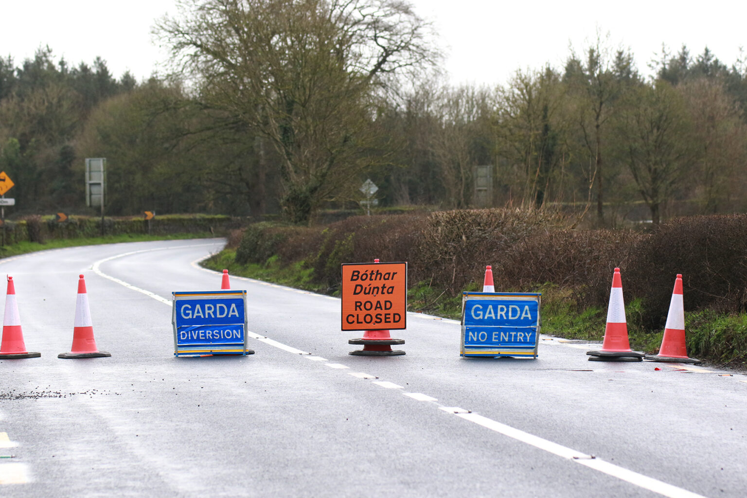 Shock as tragic victims of fatal Limerick crash named