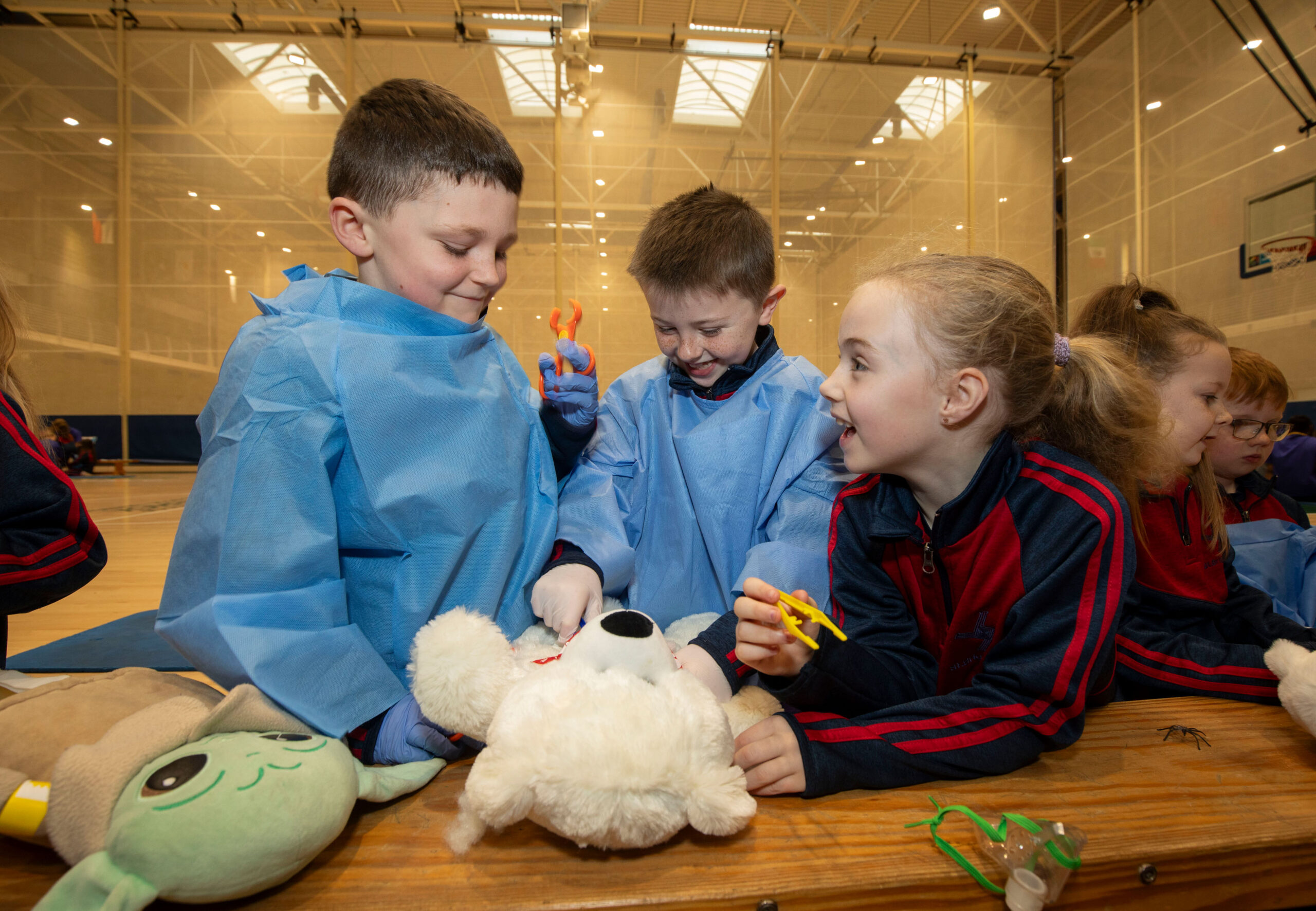 UL teddy bear hospital spreads 'smiles and joy' to over 700 primary ...