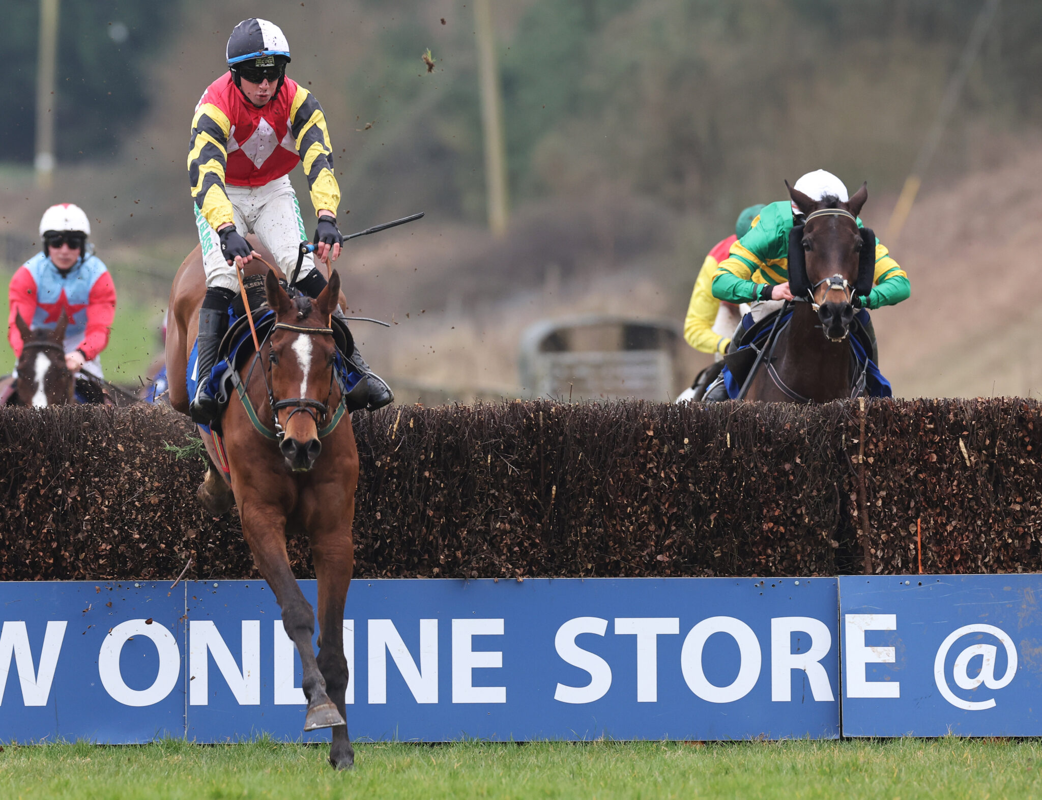 Falco Blitz wins for Eric McNamara