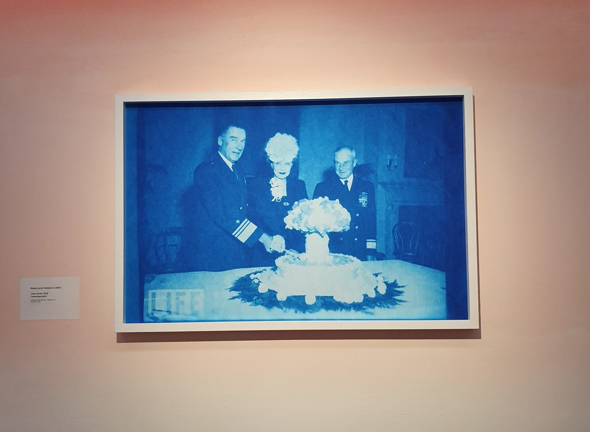 Limerick artist's work on display in Australia